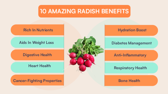 Radish Benefits: 10 Nutritional Advantages To Know - Fitelo