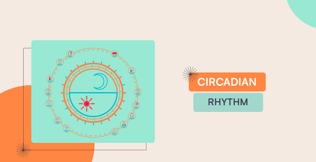 Circadian Rhythms: Understanding Sleep-Wake Cycle In 6 Steps