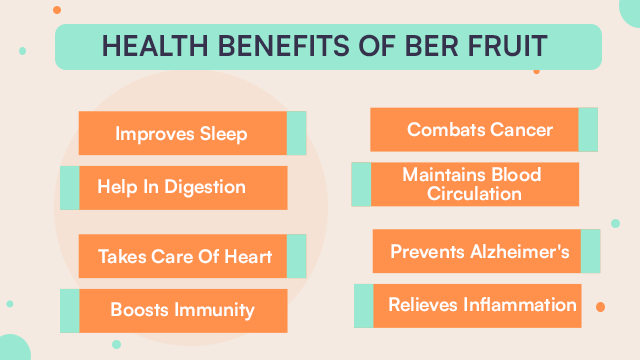 Ber Fruit Benefits: A Guide To Recipes, Uses, And Downside