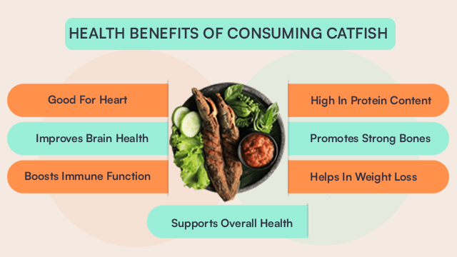 Is Catfish Healthy? Its Nutrition, Benefits, Risks, And Tips