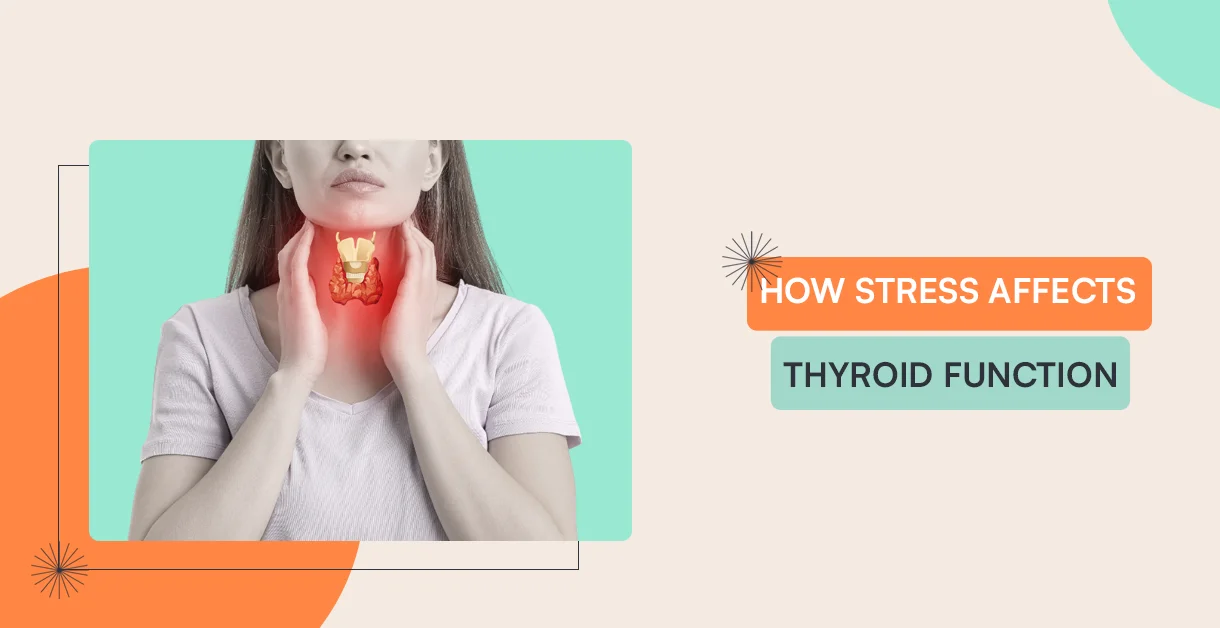 How Stress Affects Thyroid Function - Exploring The Connection
