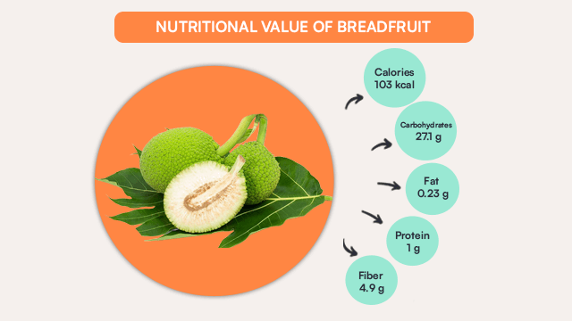 Breadfruit Benefits: Unlocking The Nutritional Value Of This Fruit