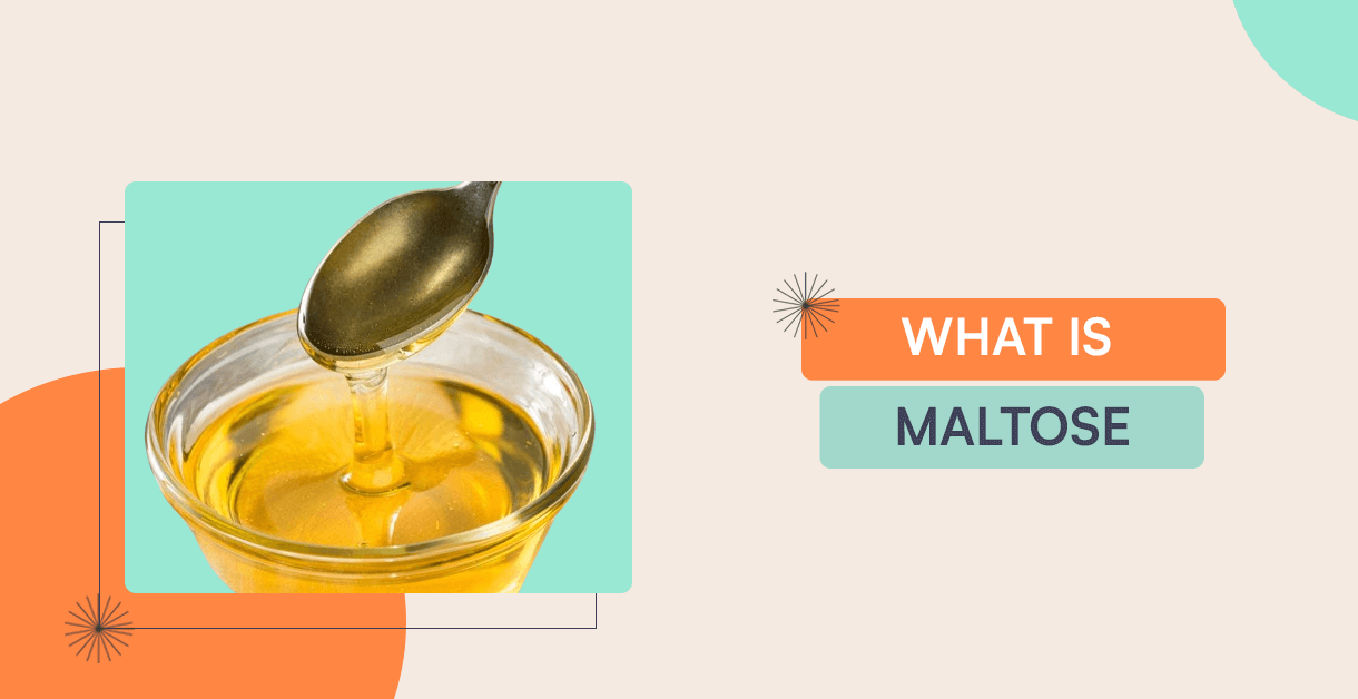 What Is Maltose And Ways To Use It For Weight Loss?